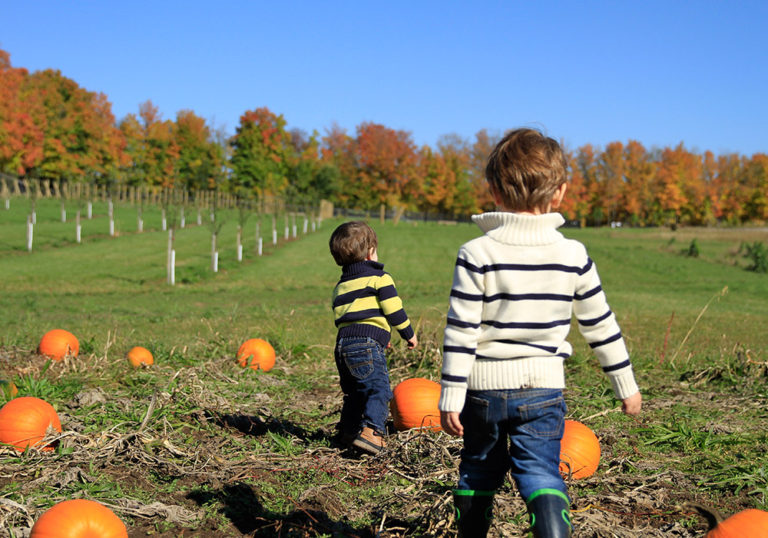 What's Happening - Braestone